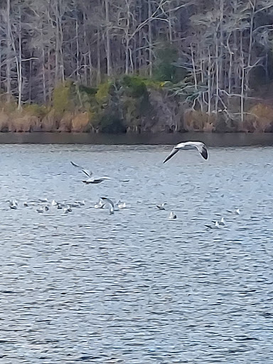 Lake Rim Park - 2214 Tar Kiln Dr, Fayetteville, North Carolina - Zaubee