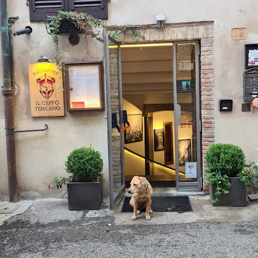 Ristorante Il Ceppo Toscano in San gimignano con cucina Italiana