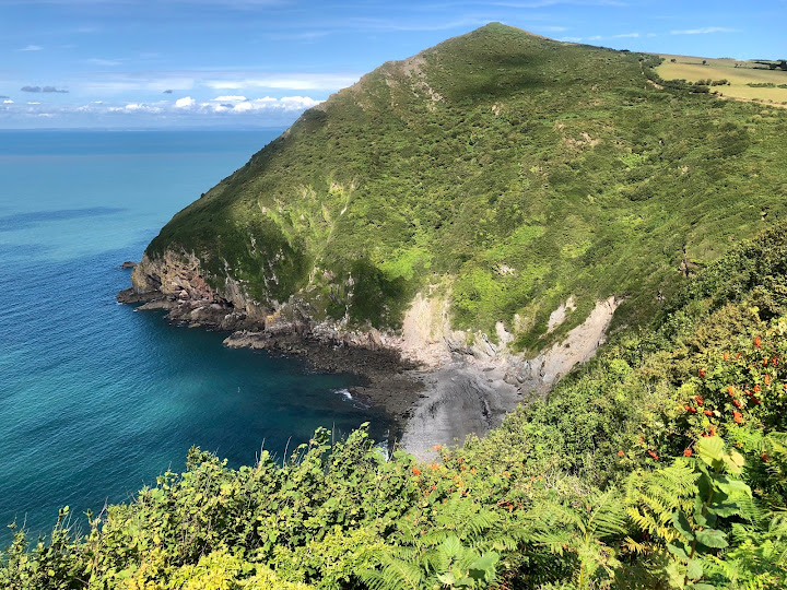Wild Pear beach 🏖️ Devon, United Kingdom - detailed features, map, photos