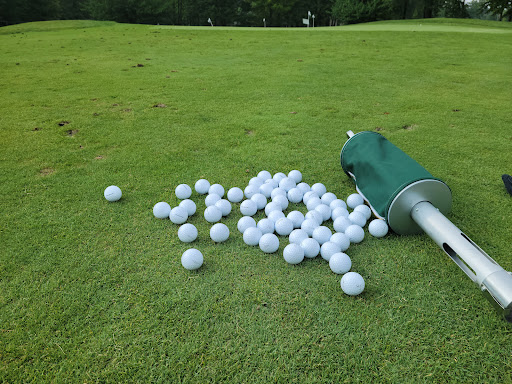 Golf Course «StoneWater Golf Club», reviews and photos, 1 Club Dr ...