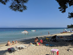 Pachis beach 🏖️ Akti Pachi, Thasos, Greece - detailed features, map, photos