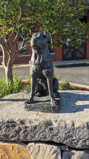 Statue Of Hachi