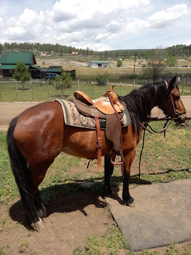 Into The West Rides | Ride The Horse