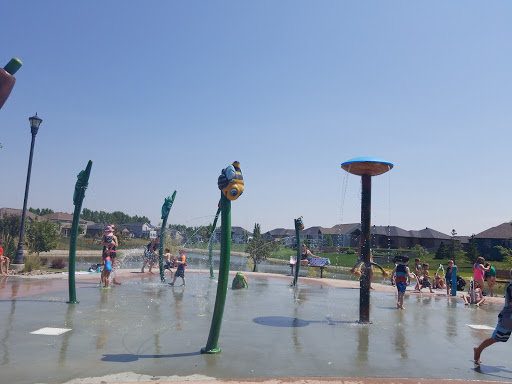 Water Park «Splash Pad Park», reviews and photos, 3545 4th St E, West ...