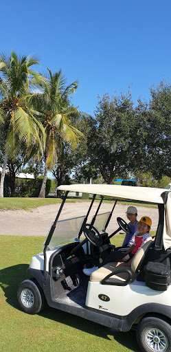 Golf Course «The Bridges at Springtree Golf Club», reviews and photos ...