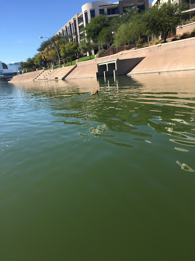 Park «Rio Salado Park», reviews and photos, 80 West Rio Salado Parkway ...