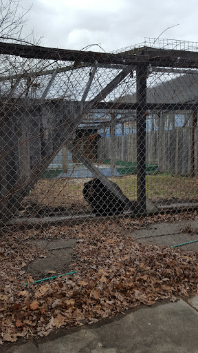 Zoo «Tri-State Zoological Park», reviews and photos, 10105 Cottage Inn ...
