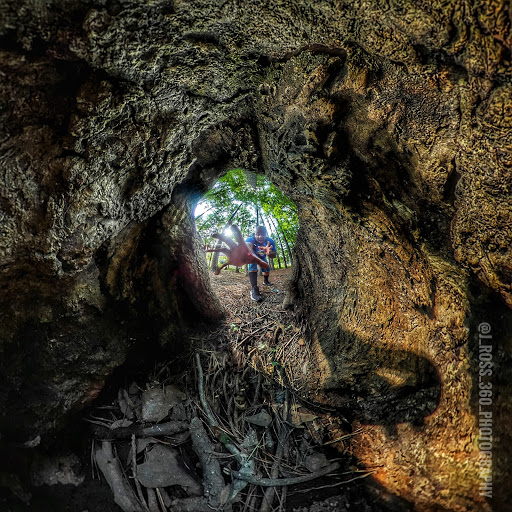 Lake Rim Park in Seventy-First, Fayetteville, North Carolina - Zaubee
