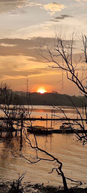 Jenal Jetty - reviews,open hours,photo spots,things to do | WanderBoat ...