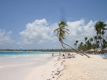 Descubre las playas dominicanas más paradisíacas: ¡Un paraíso tropical ...