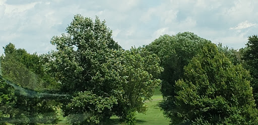 Public Golf Course «Cedarbrook Golf Course», reviews and photos, 215 PA ...