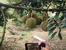 HCS Agrochem Sdn.Bhd. di bandar Simpang