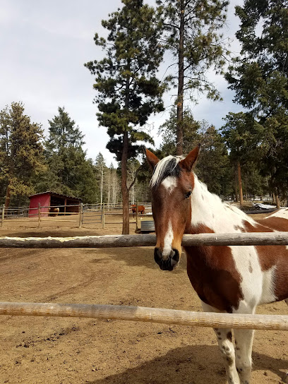 Prairie Springs Farm - Colorado Springs, Colorado - Zaubee