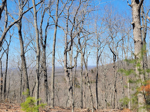 Spring Creek Gap Conservation Area - AZexplained