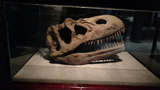 Museum «Portland Science Center», reviews and photos, 68 Commercial St ...