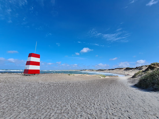 Saltum 🏖️ all 37 beaches around 15km (Denmark, North Denmark Region)