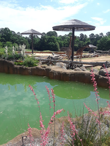 Zoo «Caldwell Zoo», reviews and photos, 2203 W Martin Luther King Jr ...