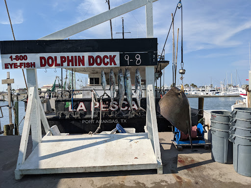 Testimonials - Dolphin Docks