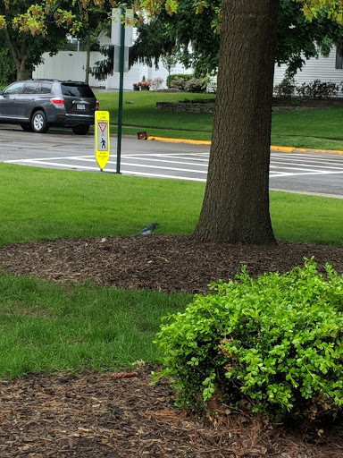 Public Swimming Pool «Reed Road Water Park», reviews and photos, 2000 ...