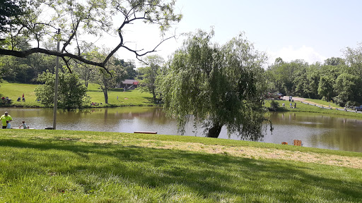 Three Rivers Swim Club in Cleves, Ohio - Zaubee