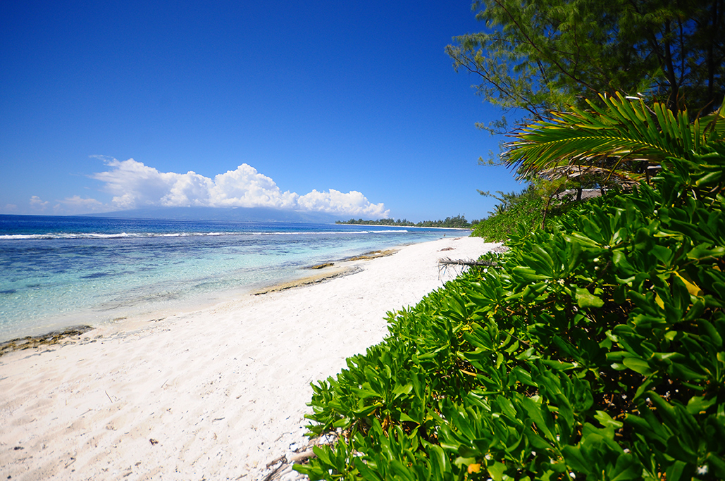 Maharepa Beach 🏖️ Insel Moorea-Maiao, Französisch-Polynesien ...
