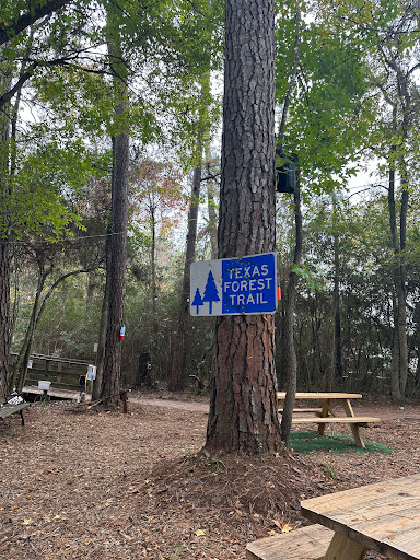 Treehouse Cafe | Quirky American Restaurant in Magnolia, Texas