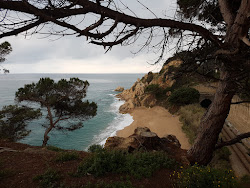 Cala de la Vinyeta 🏖️ Barcelona, Spain - detailed features, map, photos