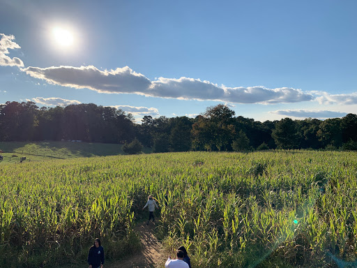 Page Farms - AZexplained