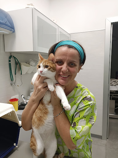 Ambulatorio Veterinario Monte Mario Ambulatorio Veterinario Monte Mario