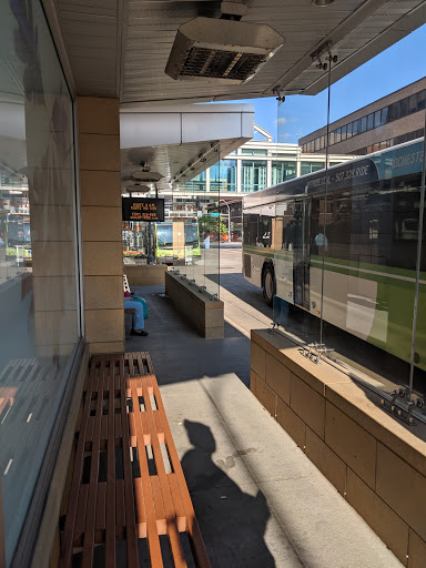 Rochester Public Transit - AZexplained