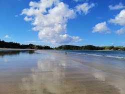 Whananaki South Beach 🏖️ North island, New Zealand - detailed features ...