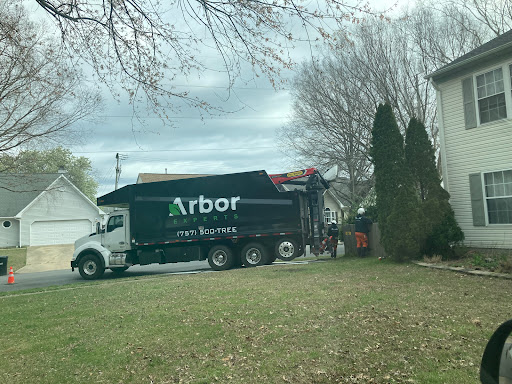 Tree Service Virginia Beach VA | Tree Pruning & Removal