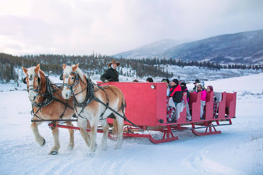 Keystone Stables | Ride The Horse