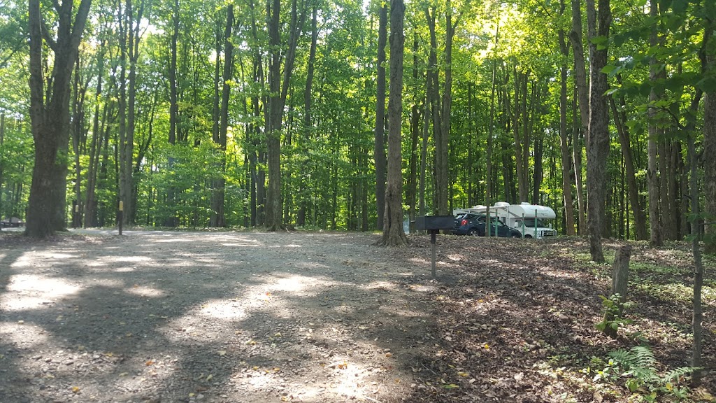 Delta Lake State Park - Rome, NY 13440 - Location, Reviews, Hours and ...