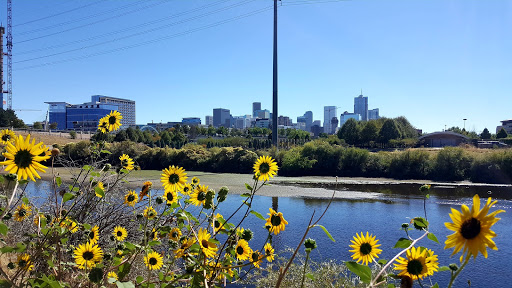 Park «Fishback Park», reviews and photos, 818 Water St, Denver, CO ...
