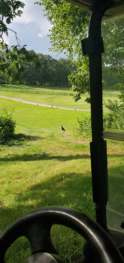Golf Course «Blackledge Country Club», reviews and photos, 180 West St ...