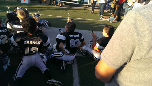 Stadium «Birdville ISD Fine Arts/Athletics Complex», reviews and photos ...