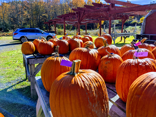 Fairbank Farm - AZexplained