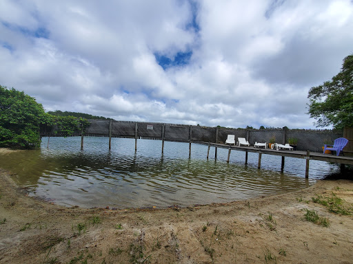 Sandy Terraces in Marstons Mills, Marstons Mills, Massachusetts - Zaubee