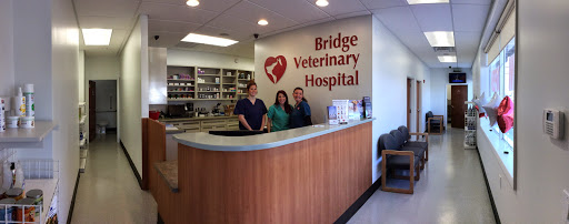 Animal Hospital «Bridge Veterinary Hospital», reviews and photos