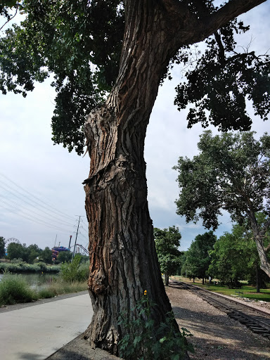 Park «Fishback Park», reviews and photos, 818 Water St, Denver, CO ...