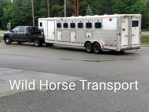 Wild Horse Transport - AZexplained