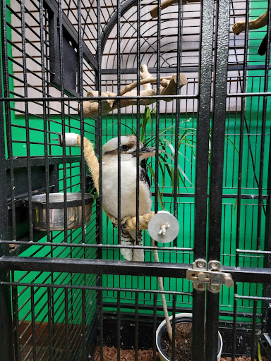 Pet Store «Zoo Creatures Pet Store», reviews and photos, 149 Plaistow ...