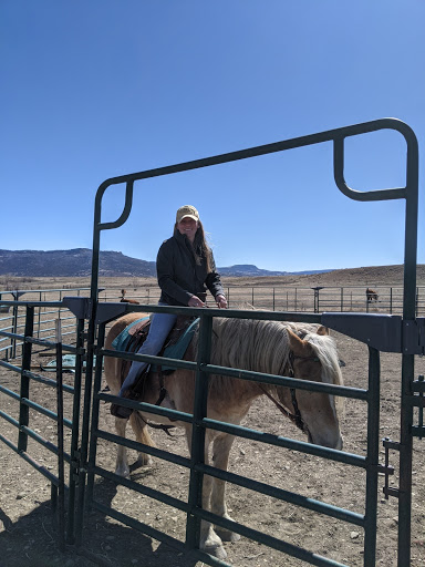 Wellspring Ranch & Stables | Ride The Horse