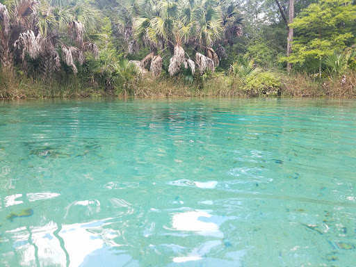 Tourist Attraction «Pitt Spring Recreation Area», reviews and photos ...