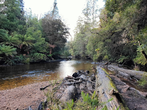 Styx State Forest