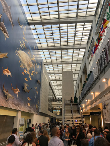 Arena «The Rick Case Arena at the Don Taft University Center», reviews ...