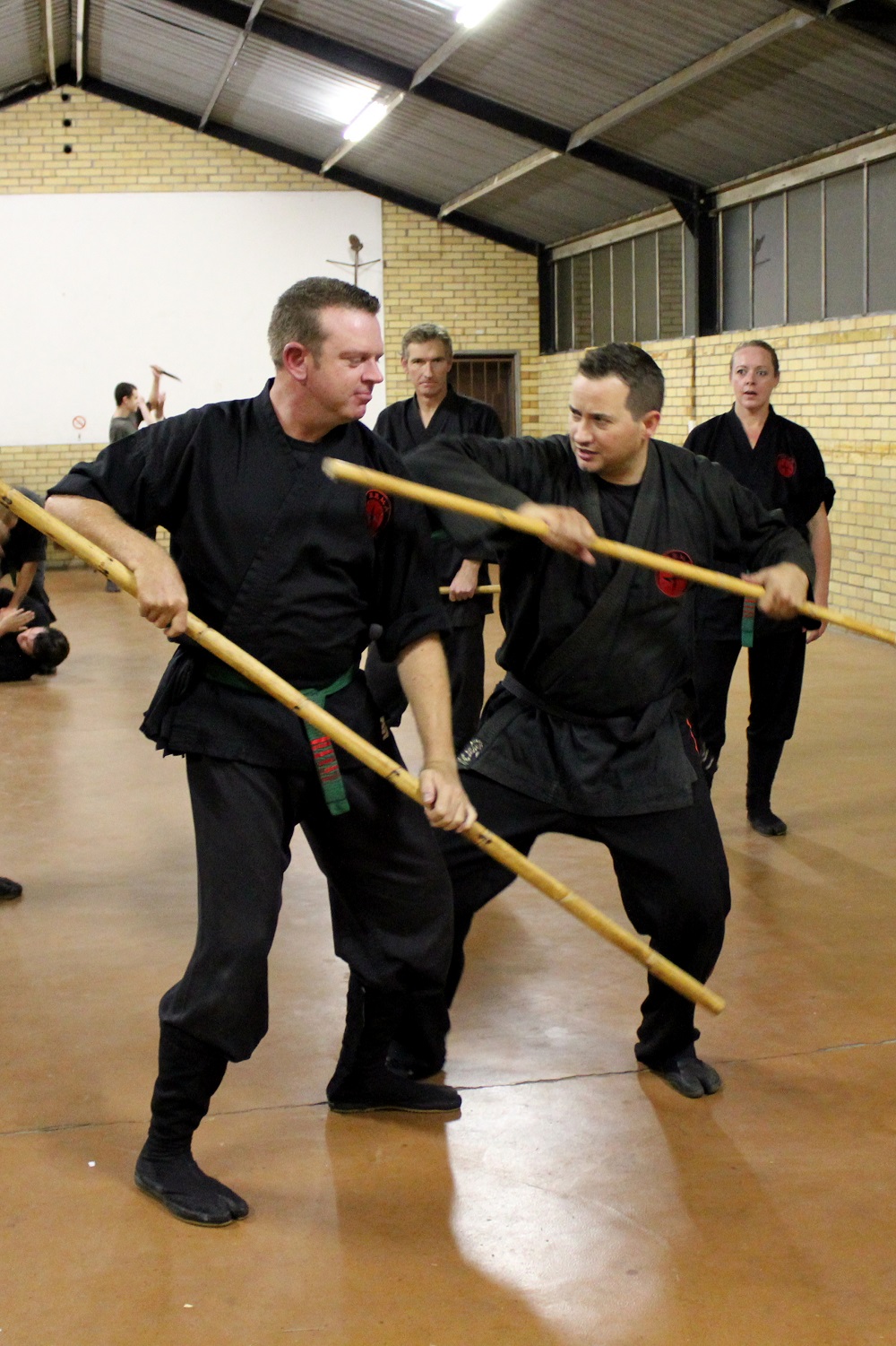 Ninjutsu Fighting Academy in the city Cape Town