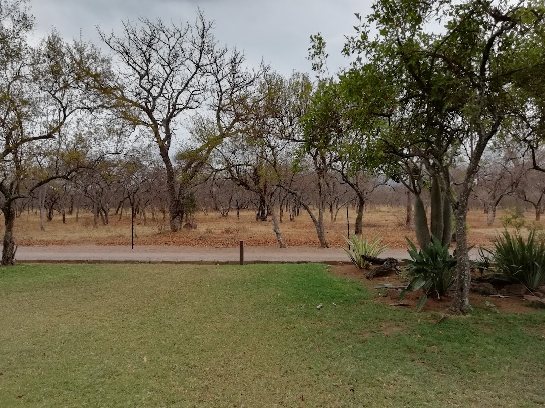 La Pumba Hunting Safaris in the city Mokopane