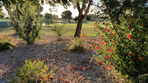 Golf Course «Viewpoint Championship Golf Course», reviews and photos ...